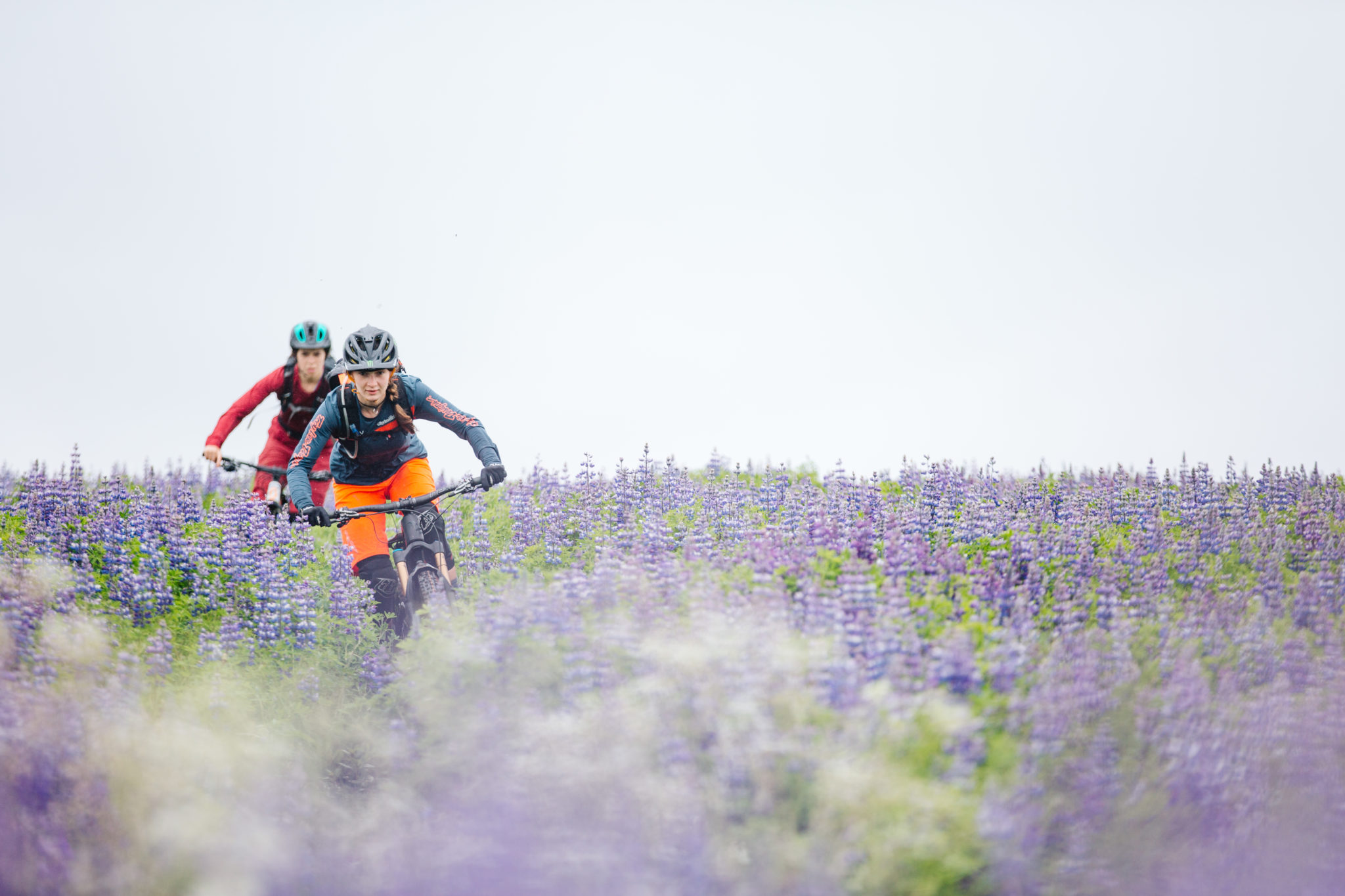 Iceland Bike Tours & Mountain Bike Trips - Icebike Adventures